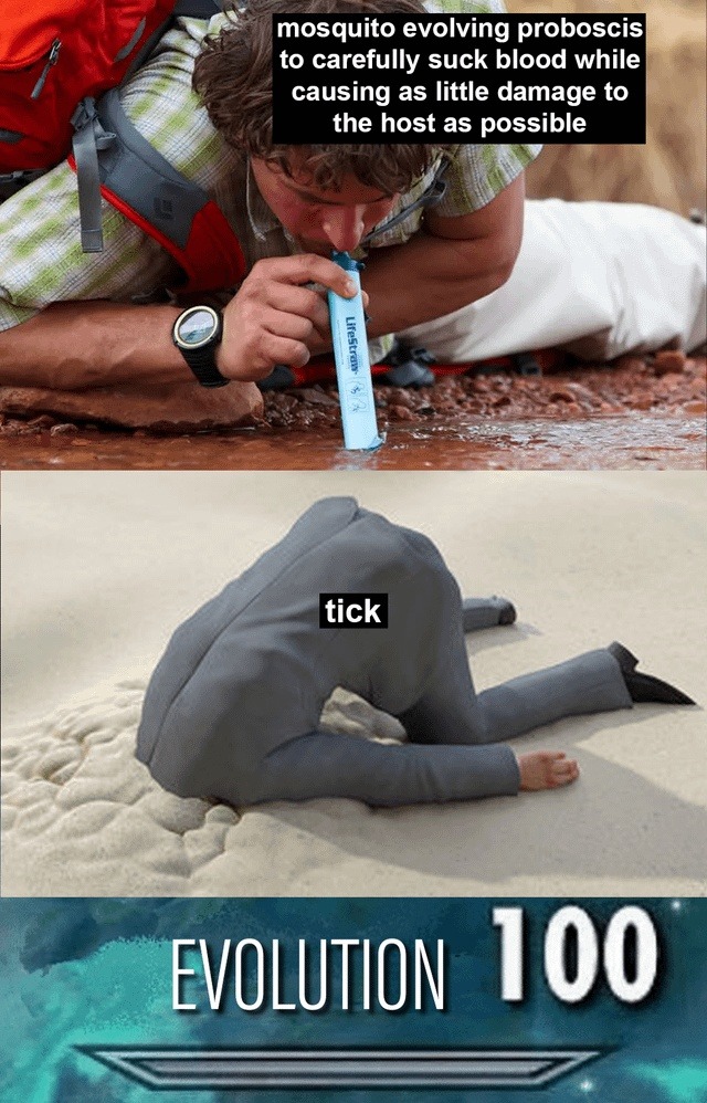 The best Evolution memes :) Memedroid