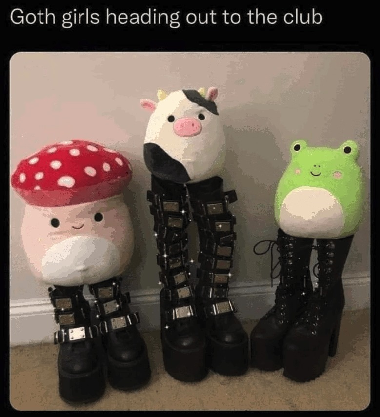 Latest memes / New memes :) Memedroid