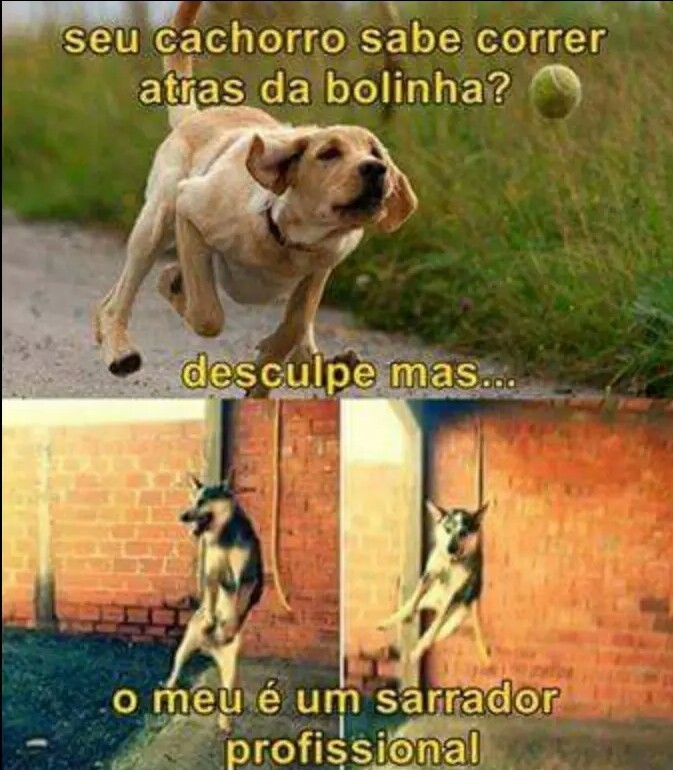 O título foi dar uma sarrada no ar - Meme by Lucas_plays :) Memedroid