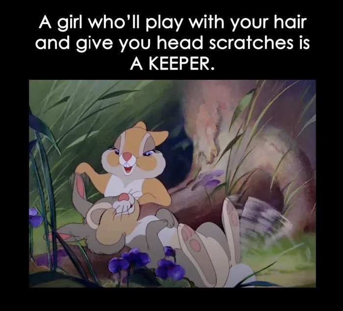 The Latest Memes :) Memedroid