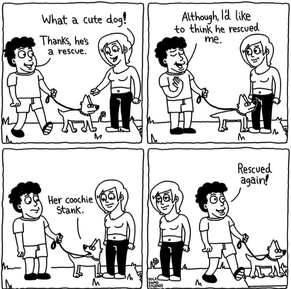 Rescue dog - Meme by Cliffy_99 :) Memedroid