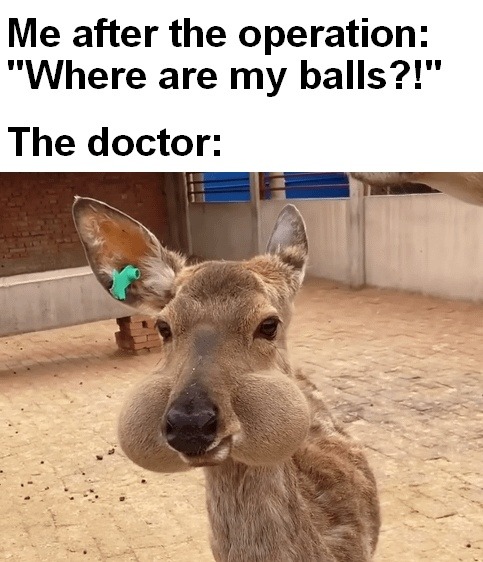 The best Surgery memes :) Memedroid
