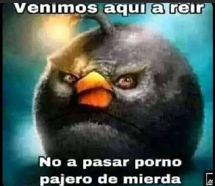 Top memes de Memes en español :) Memedroid