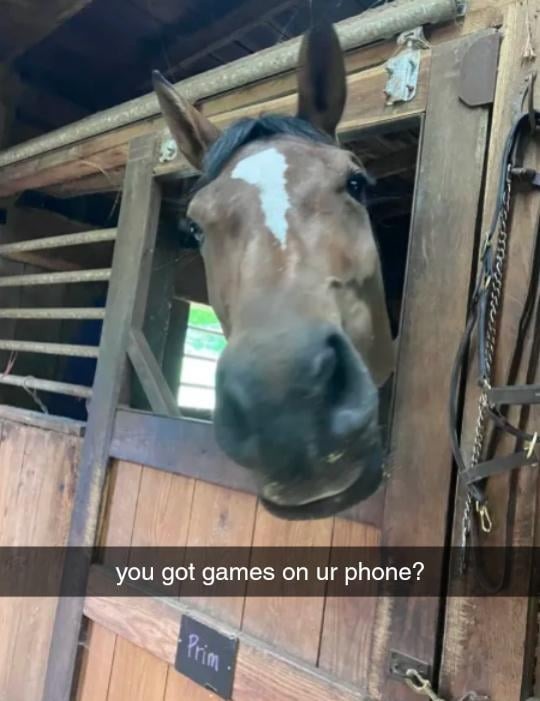 The Latest Memes :) Memedroid