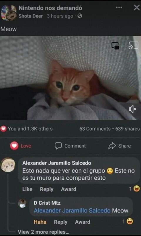 Meow - Meme subido por The-Music :) Memedroid