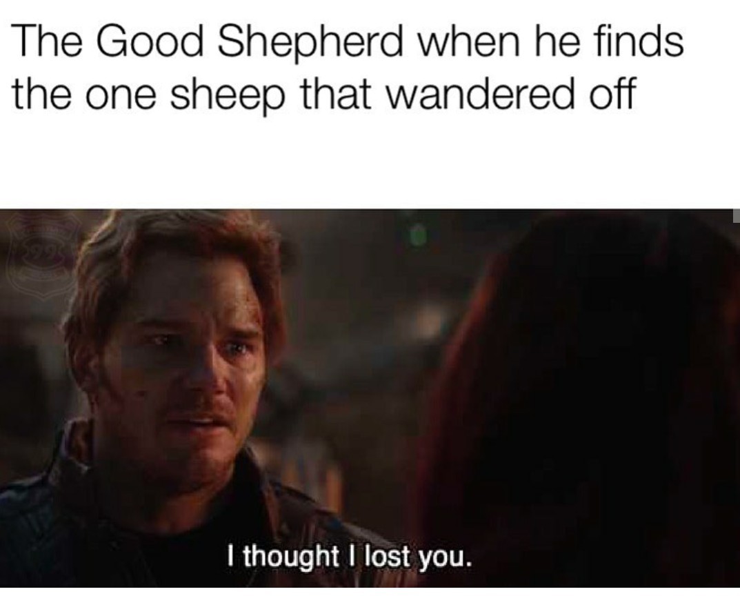 Where the flock were you - Meme by Christian_Furry :) Memedroid