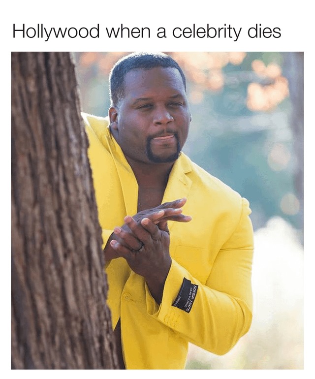 The Best Celebrity Memes :) Memedroid