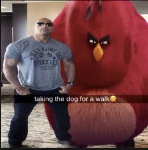 The Rock meme - Meme by hihungry :) Memedroid