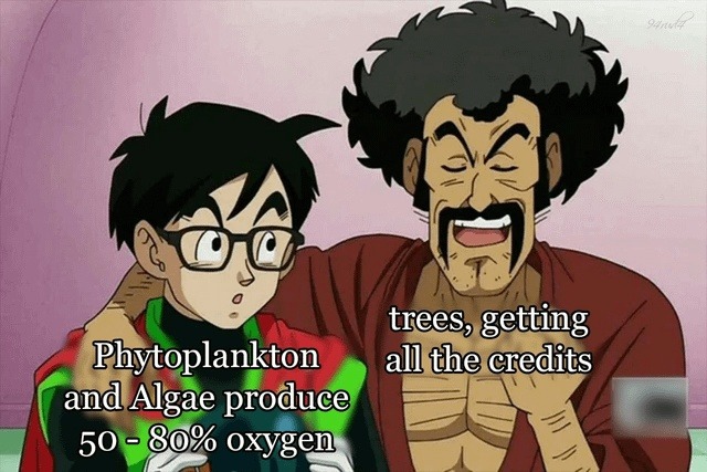 The best Nature memes :) Memedroid