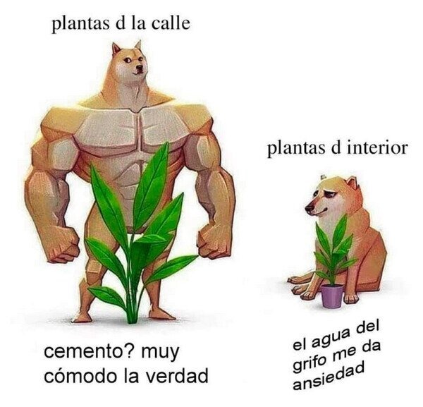 Soy Cubano a si que no me afecta el agua del grifo :cool: - Meme subido ...