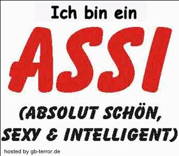 Assi Memes Funny Video: Cat Plays Football With Three Assi In