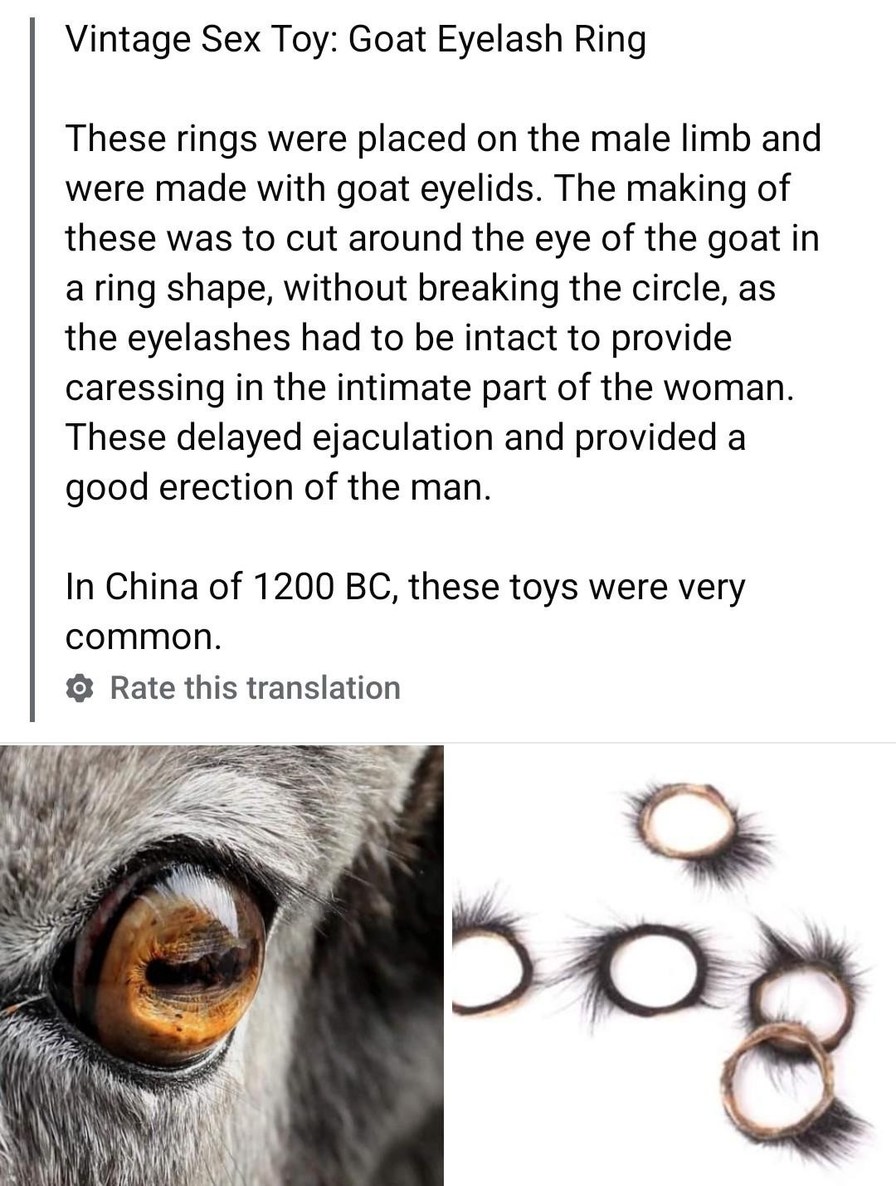 Thirsty Goat Memes Thirsty Goat (@thirstygoatyolo) • Instagram