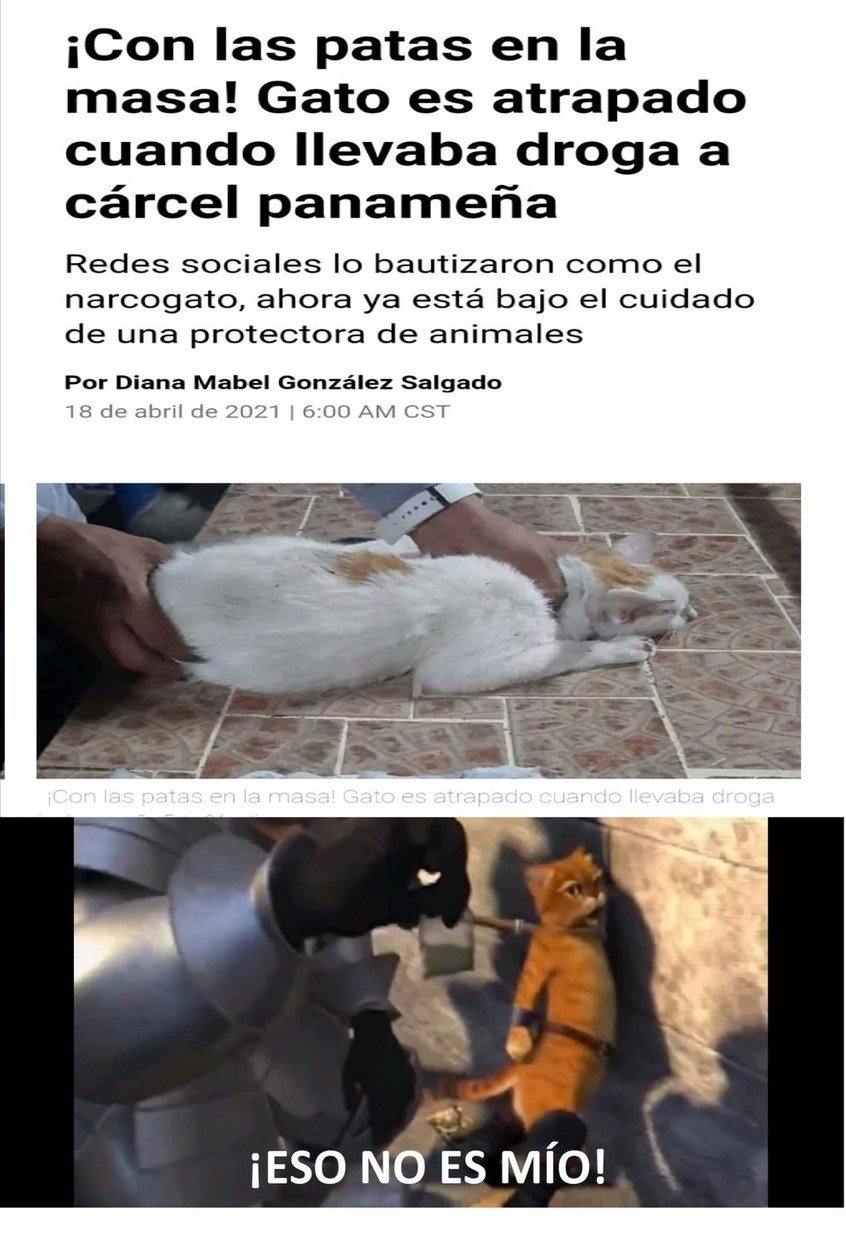 Top memes de Drogas en español :) Memedroid