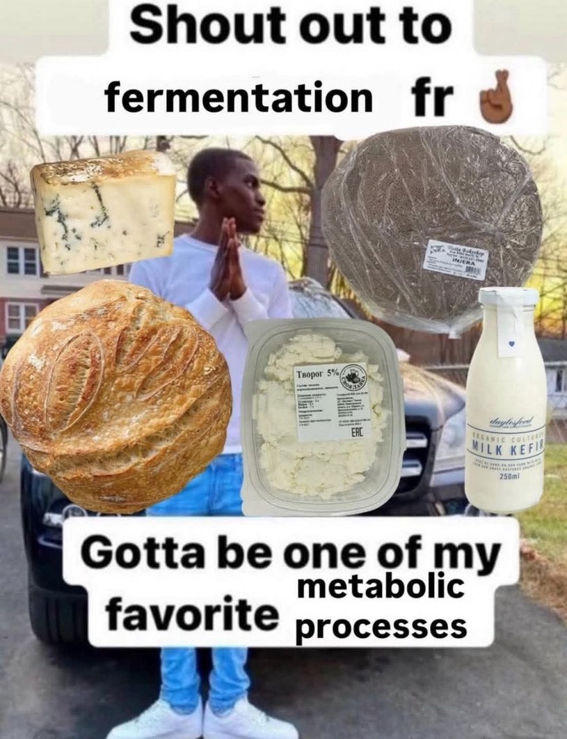 The best Fermentation memes :) Memedroid