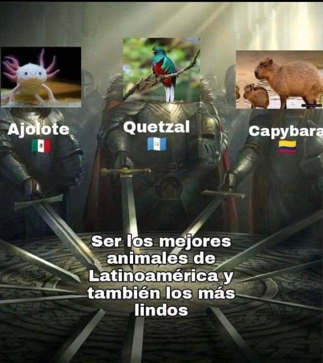 Falta el pudu, ese si que esta bonito - Meme subido por Tostapav ...