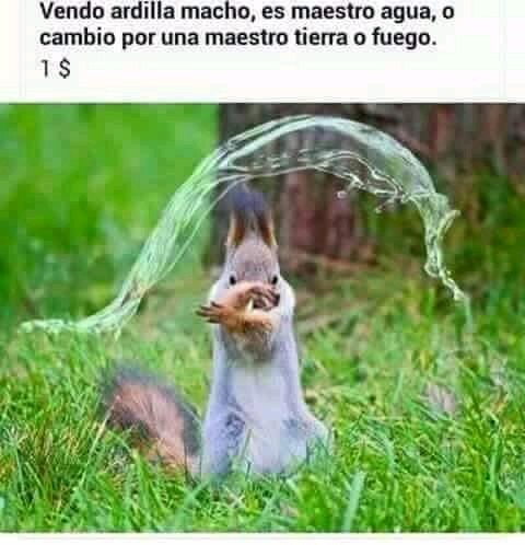 Los Últimos Memes :) Memedroid