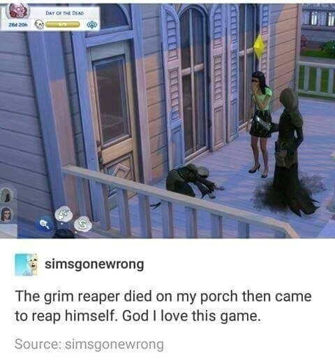 Sims 3 Meme