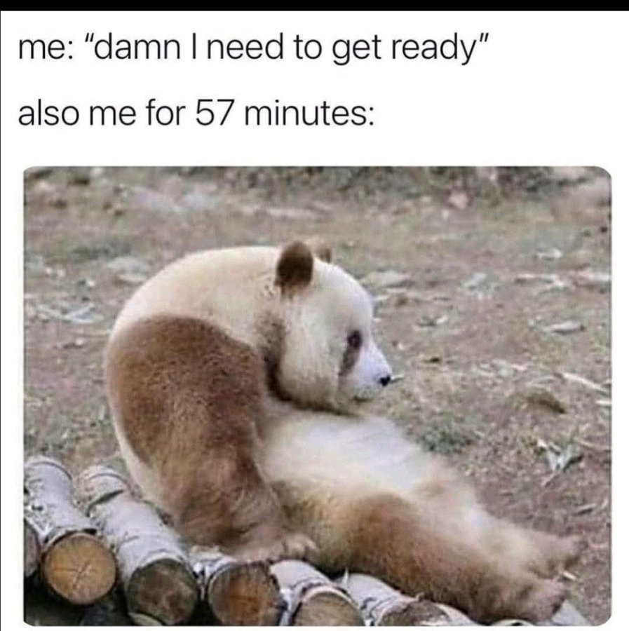 The best Plans memes :) Memedroid