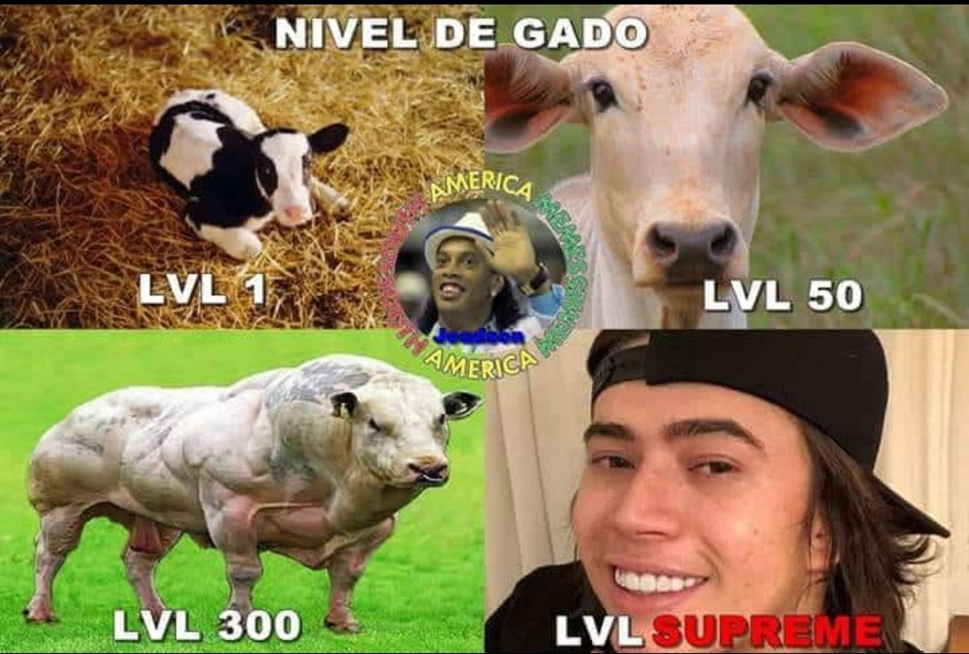 WHINDERSSON D+++ ESSE GADO - Meme by SrKmuvit :) Memedroid