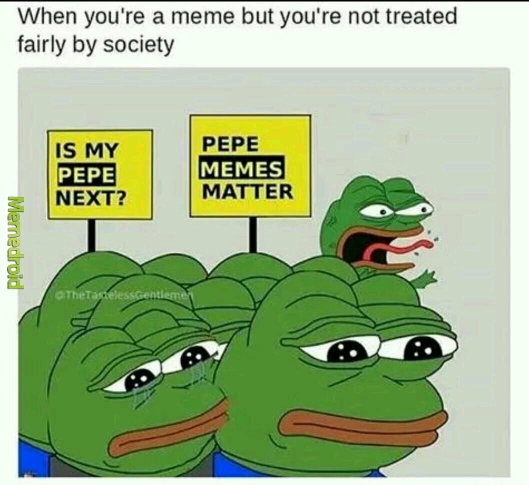 Memes Plm