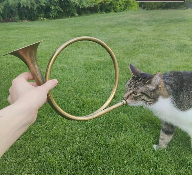 tuuuuuut - Meme by zipl4d3r :) Memedroid