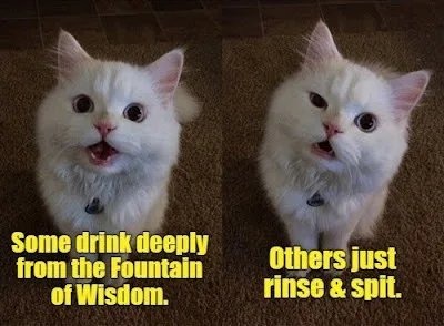 Latest memes / New memes :) Memedroid