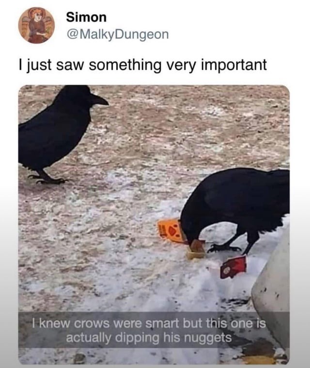 Evil Crow Memes