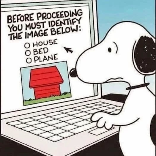 The best Snoopy memes :) Memedroid