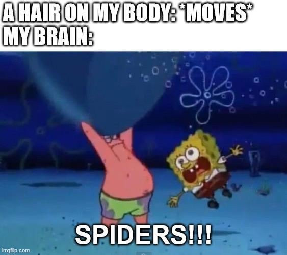 The best Spider memes :) Memedroid