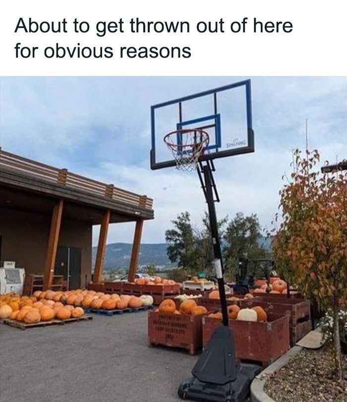 The best Basketball memes :) Memedroid