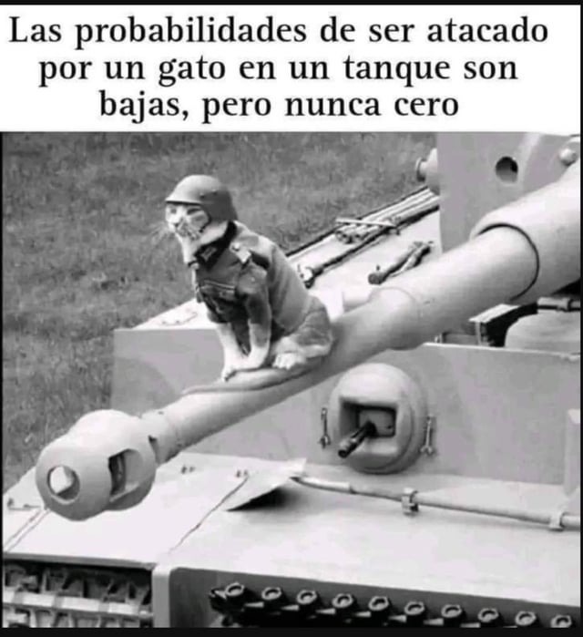 Gato tanque táctico - Meme subido por josealvarez_99 :) Memedroid