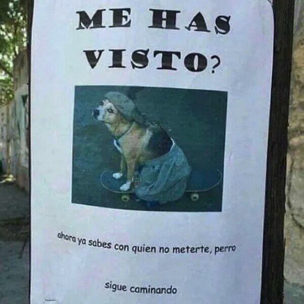 Top memes de Vecinos en español :) Memedroid