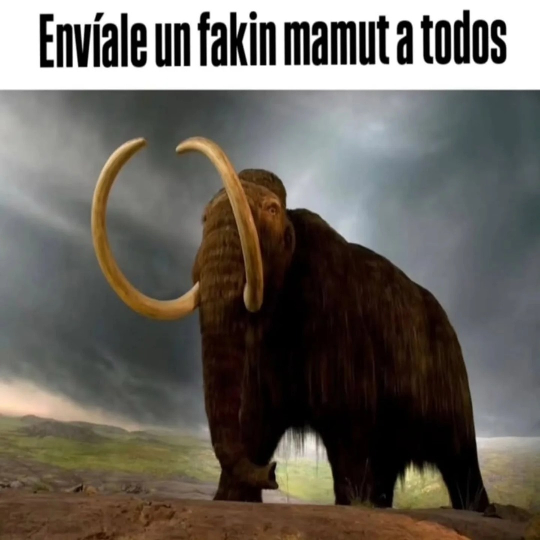 Top memes de Mamut en español :) Memedroid