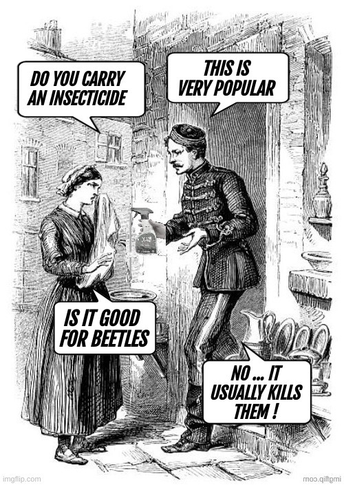 The best Coleoptera memes :) Memedroid