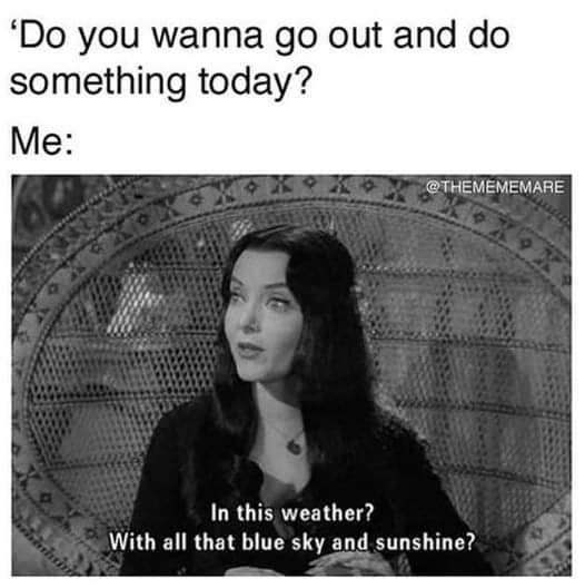 25 Best Memes About Morticia Addams Morticia Addams Memes