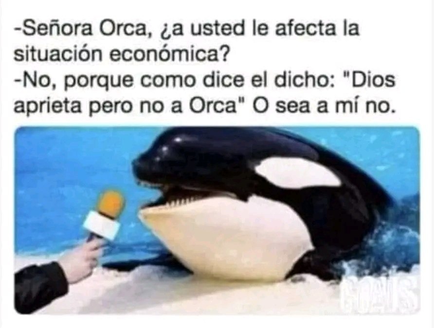 Como Dice El Dicho! - Meme by Ssanty :) Memedroid