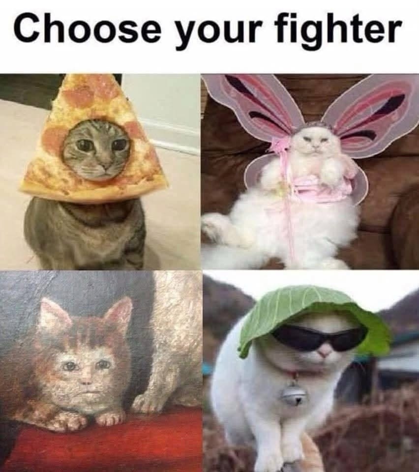 The best Personality memes :) Memedroid