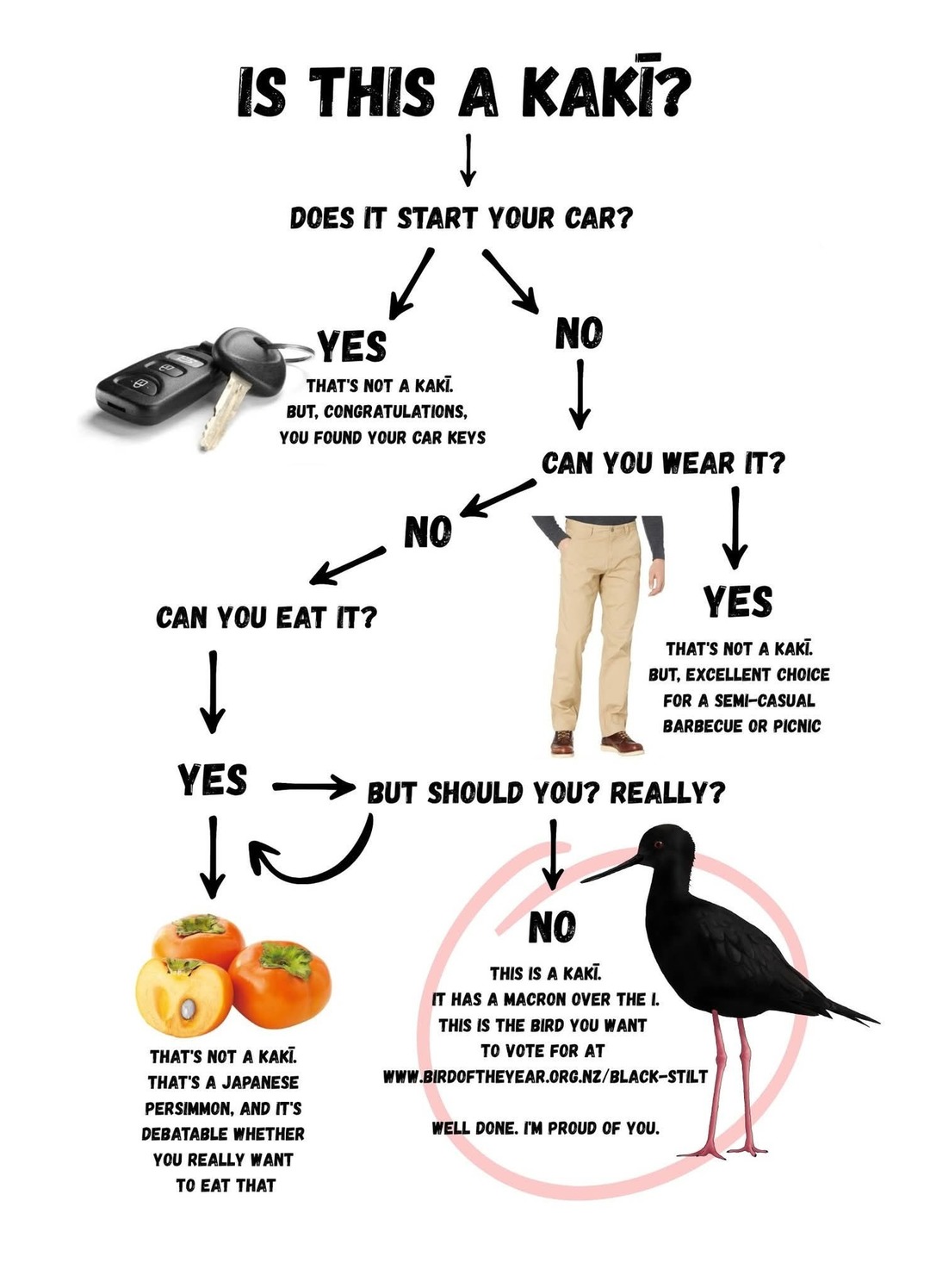 The best Kaki memes :) Memedroid