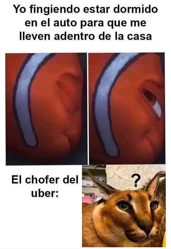 Últimos memes :) Memedroid