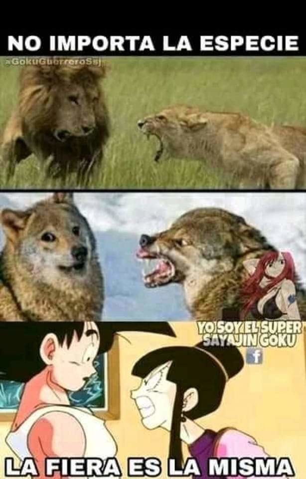 Jajaj - Meme subido por Franzmarcos14 :) Memedroid