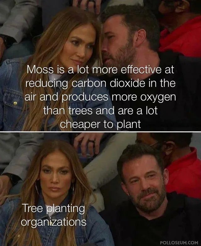 Moss goes brrr - Meme by Mr.Gimli :) Memedroid