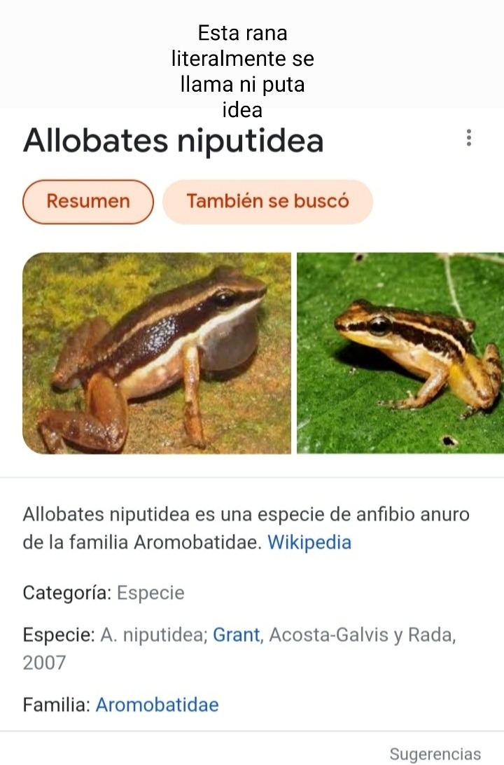 Ni puta idea - Meme subido por Super_Franky :) Memedroid