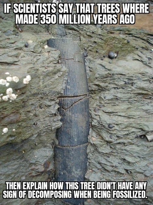 KillroyIsHere_ :) Memedroid