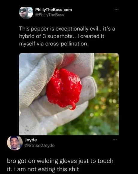 Latest memes / New memes :) Memedroid