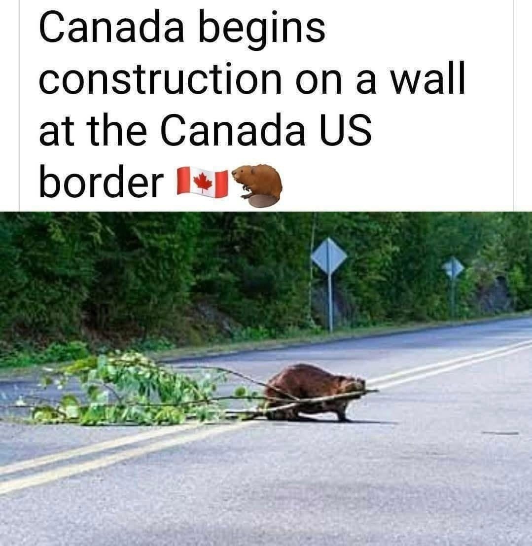 The best Canada memes