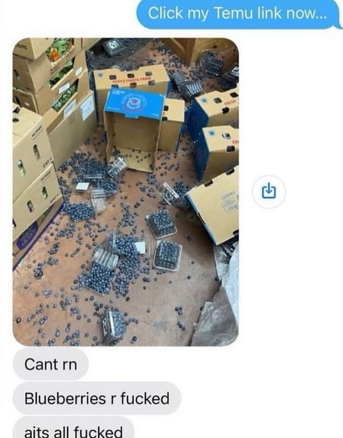 The best Temu memes :) Memedroid