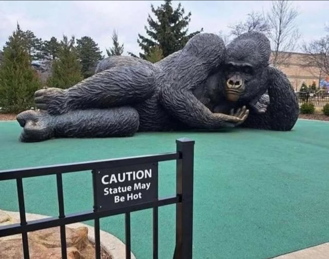 The best Gorilla memes :) Memedroid