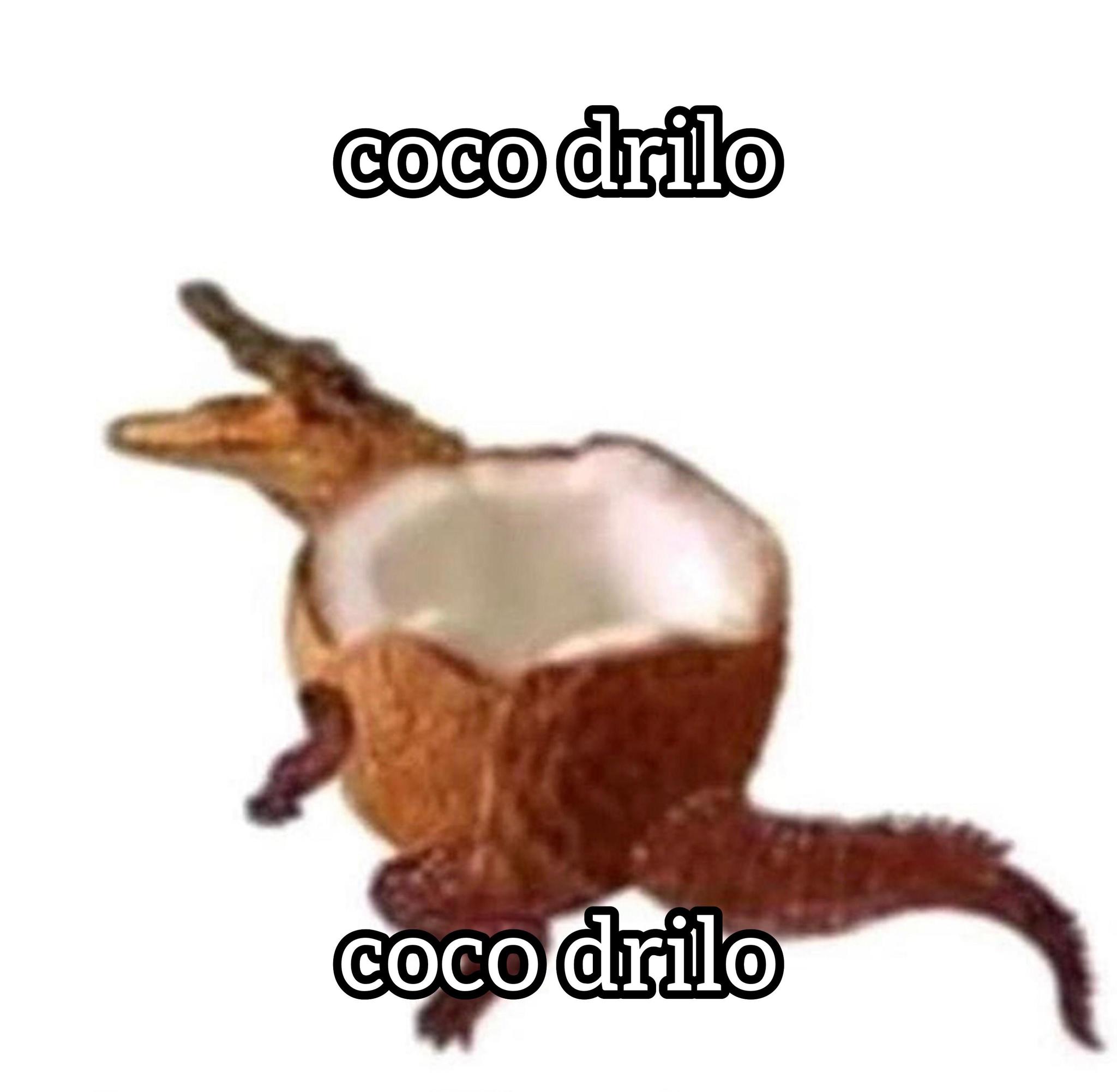 Últimos memes :) Memedroid