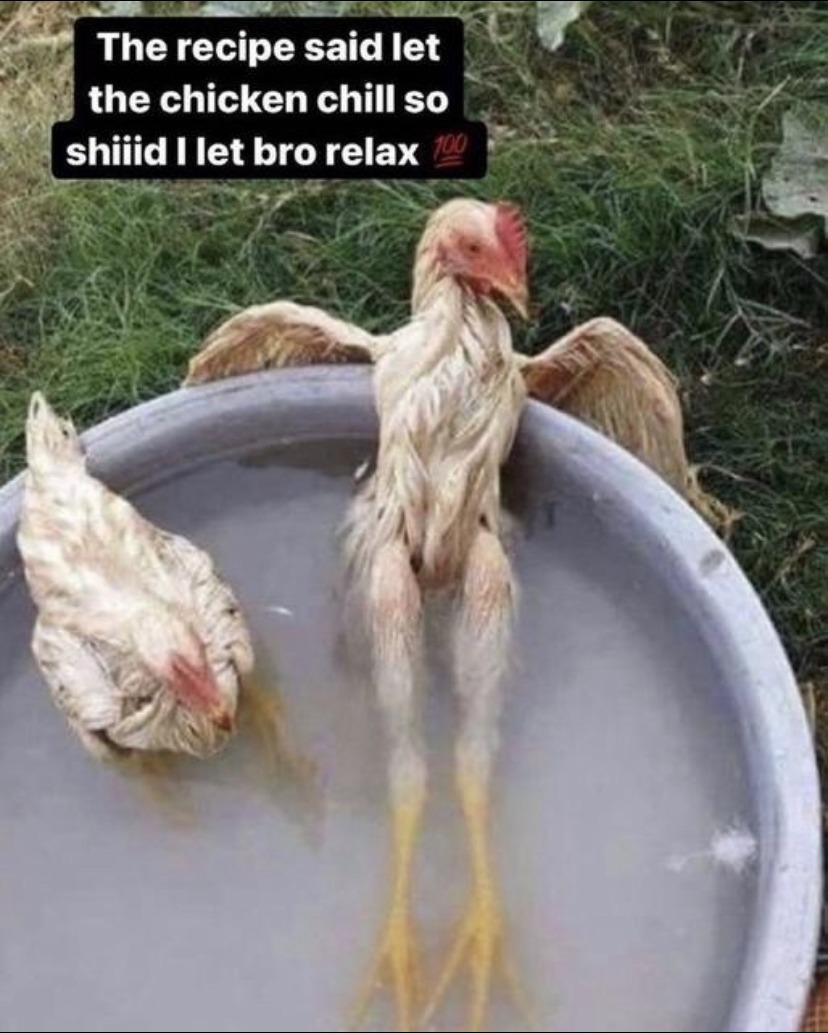 Let Chill Meme Meet Chill Guy, The New Meme King In Town