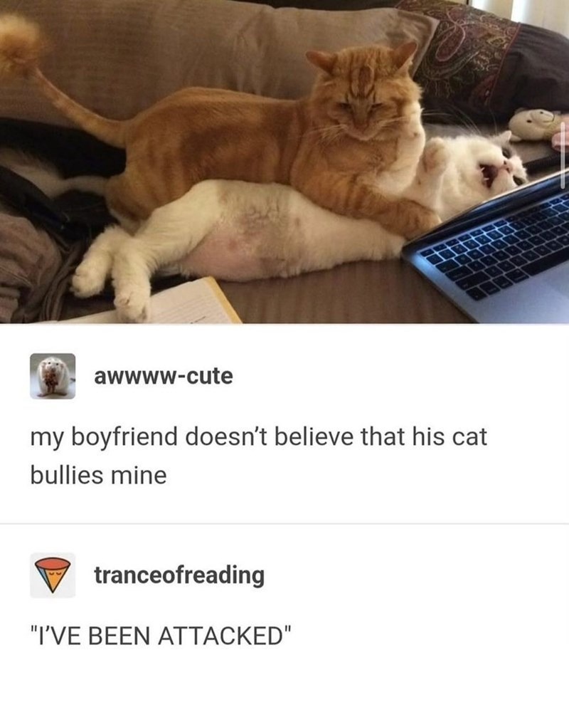 Latest memes / New memes :) Memedroid